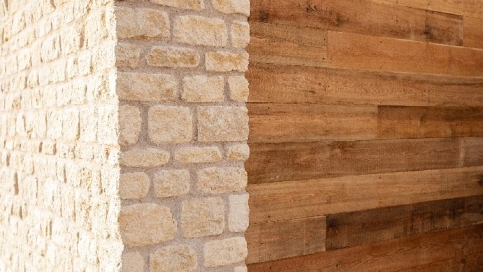 David Burghardt Vision Care | Belvin Construction